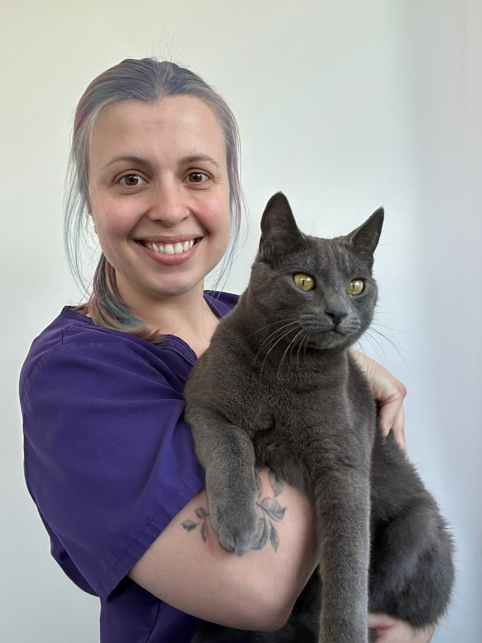 Exceptional Veterinary Care - Vets North - | Exceptional Veterinary Care