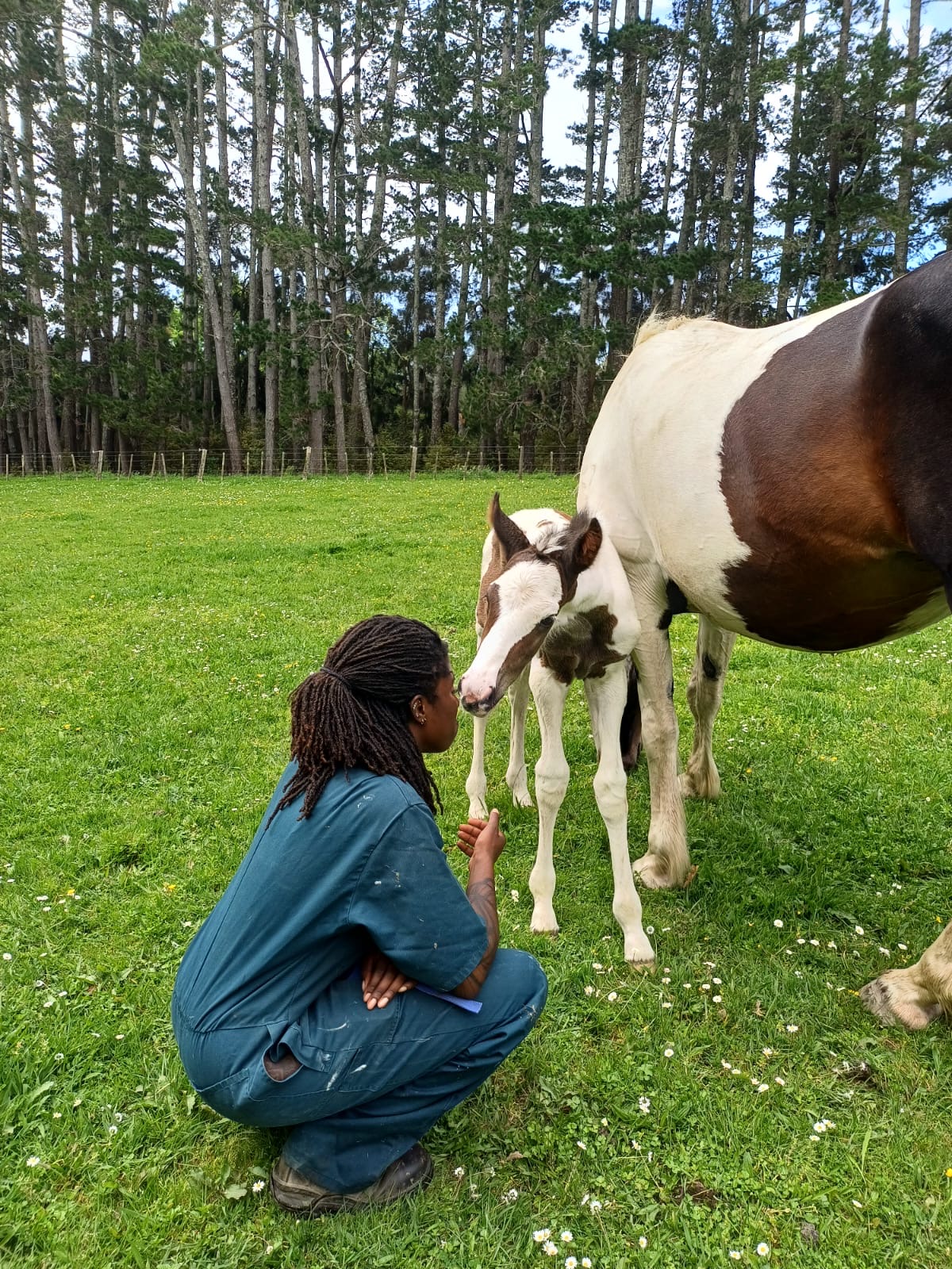 A Foal Called "This Way Up” - Vets North